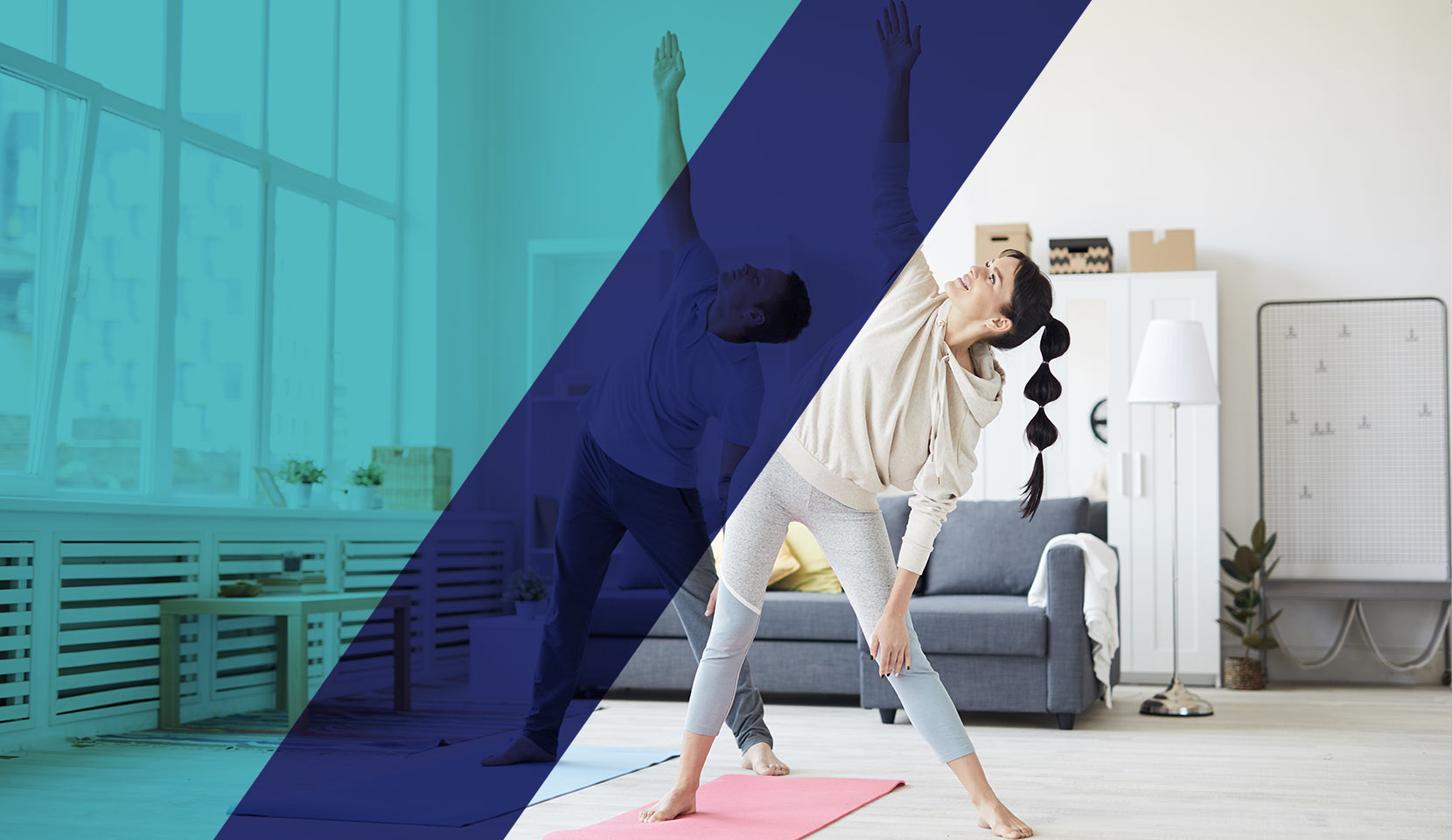 UPfit.cloud: management software for gyms